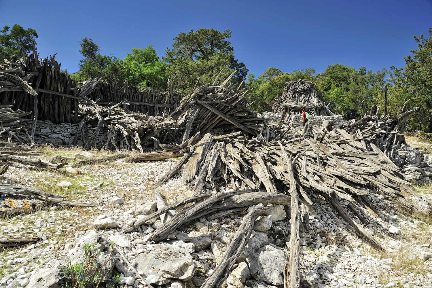 Visit the Golgo Plateau in Baunei - Hotel Goloritzè, Ogliastra